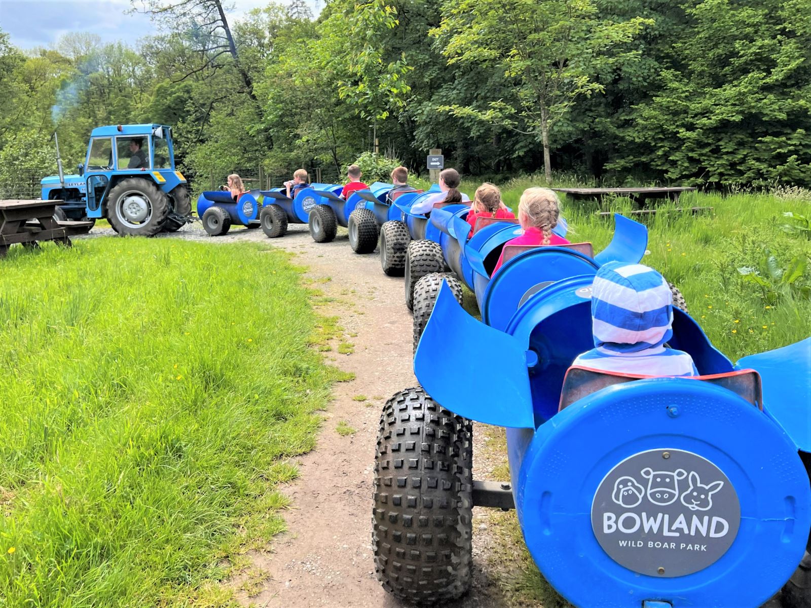 Win a family day pass to Bowland Wild Boar Park - Visit Lancashire