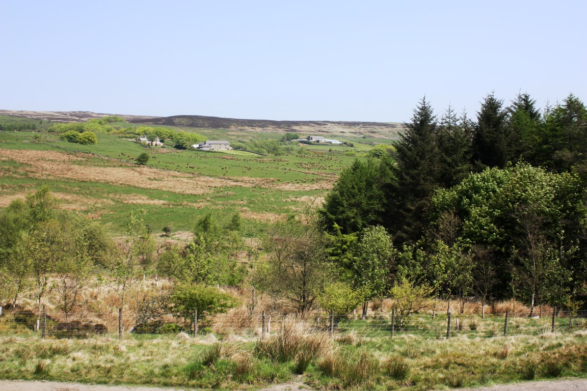 Help The Wildlife Trust find Lancashire's highest tree - Visit Lancashire