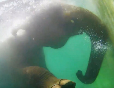 Chunky-dunking is the new skinny-dipping! - Visit Lancashire