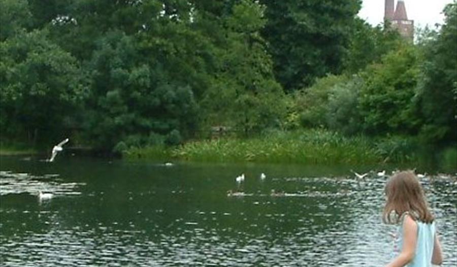 Haslam Park - Parks & Gardens in Preston, Preston - Visit Lancashire