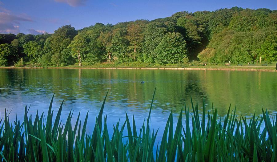 Yarrow Valley Country Park - Heritage / Visitor Centre in Chorley ...