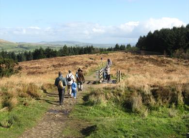 Beacon Fell Country Park - Country Park/Nature Reserve in Preston ...