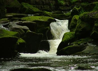 Healey Dell Nature Reserve - Nature Reserve in Rochdale, Whitworth ...