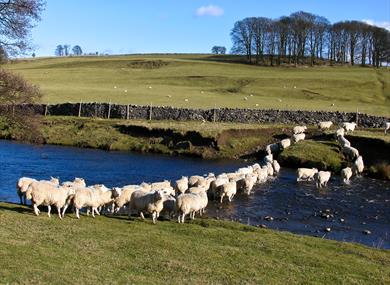 Chipping - Countryside in CLITHEROE, Ribble Valley - Visit Lancashire